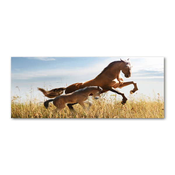 Gracie Oaks Stute mit Fohlen - Ungerahmte Kunstdrucke auf Leinwand | Wayfair.de